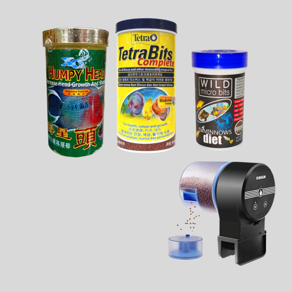 Aqua Club - Online Aquarium Store & Aquascaping Shop India