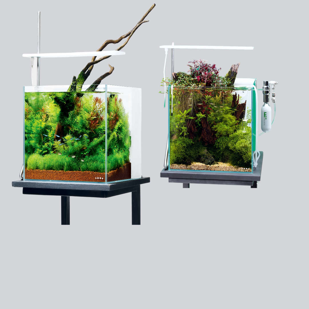 Aquarium Tanks - Aqua Club
